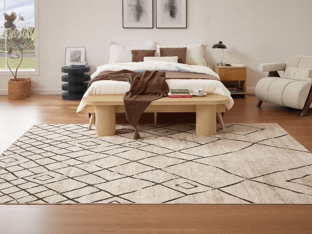 Explore Erik Rug in style – Lifely brings stylish, affordable design to ...