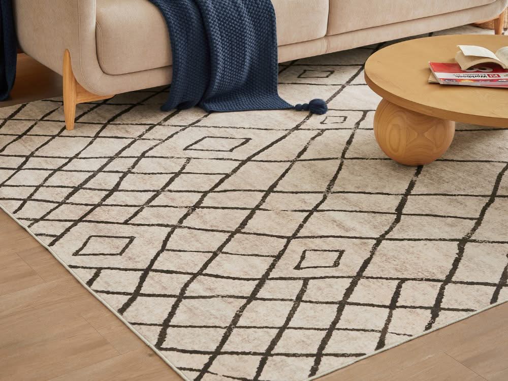 Explore Erik Rug in style – Lifely brings stylish, affordable design to ...