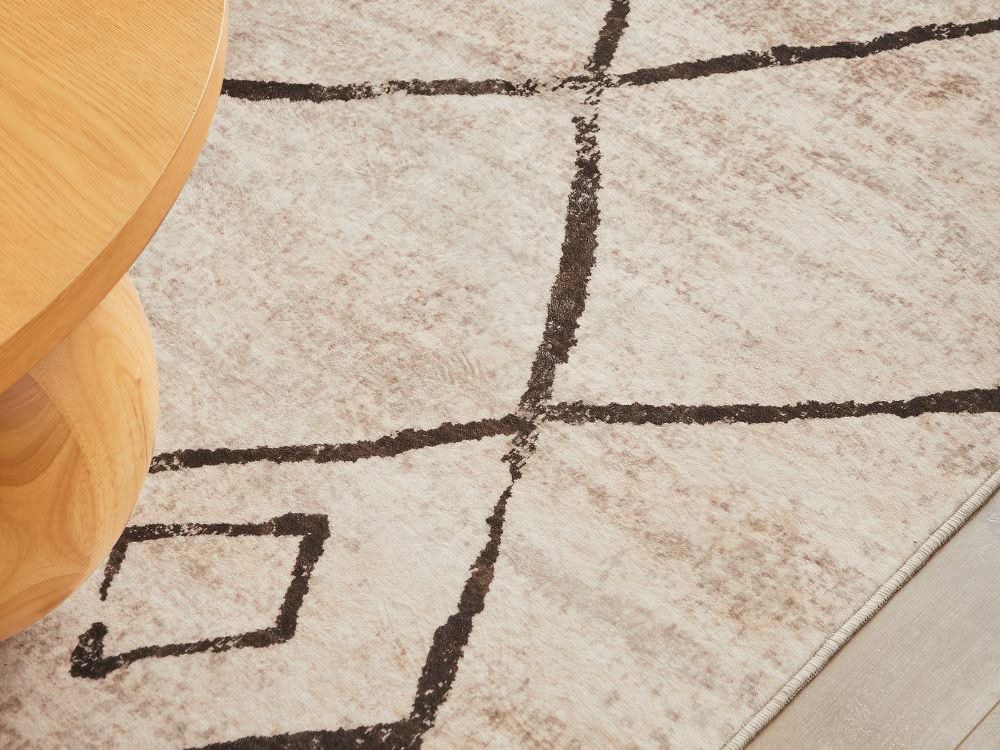 Explore Erik Rug in style – Lifely brings stylish, affordable design to ...