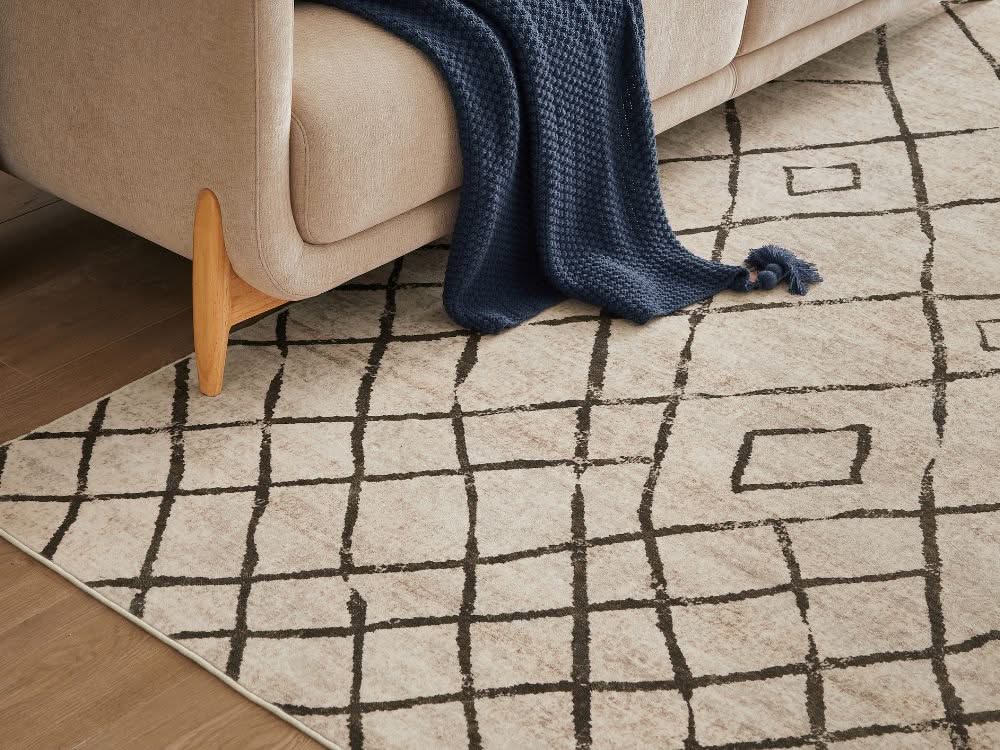 Explore Erik Rug in style – Lifely brings stylish, affordable design to ...