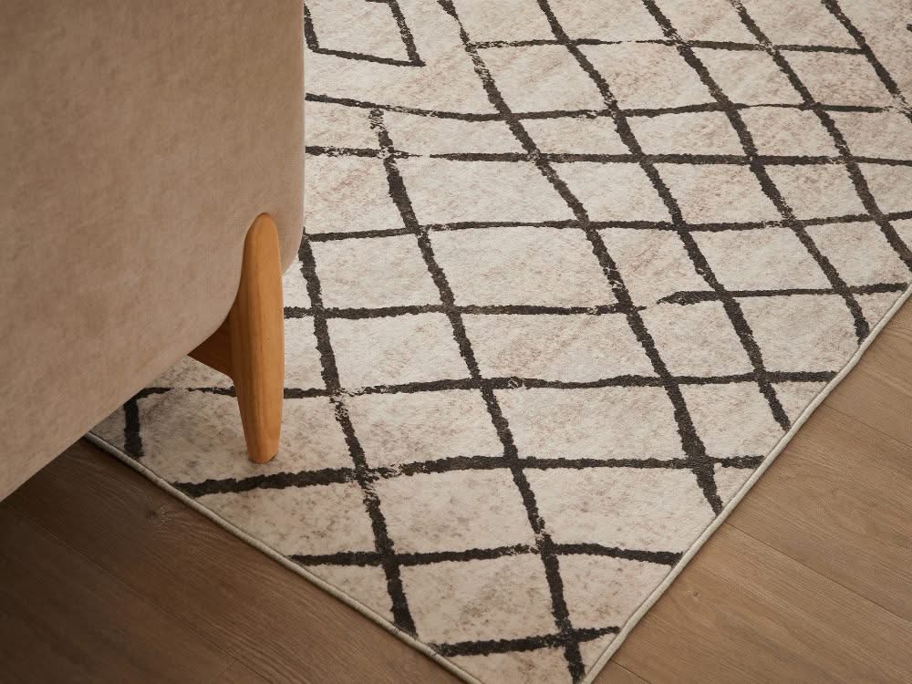 Explore Erik Rug in style – Lifely brings stylish, affordable design to ...